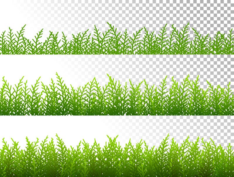 Green Grass Borders Set on Transparent Background Stock Vector ...