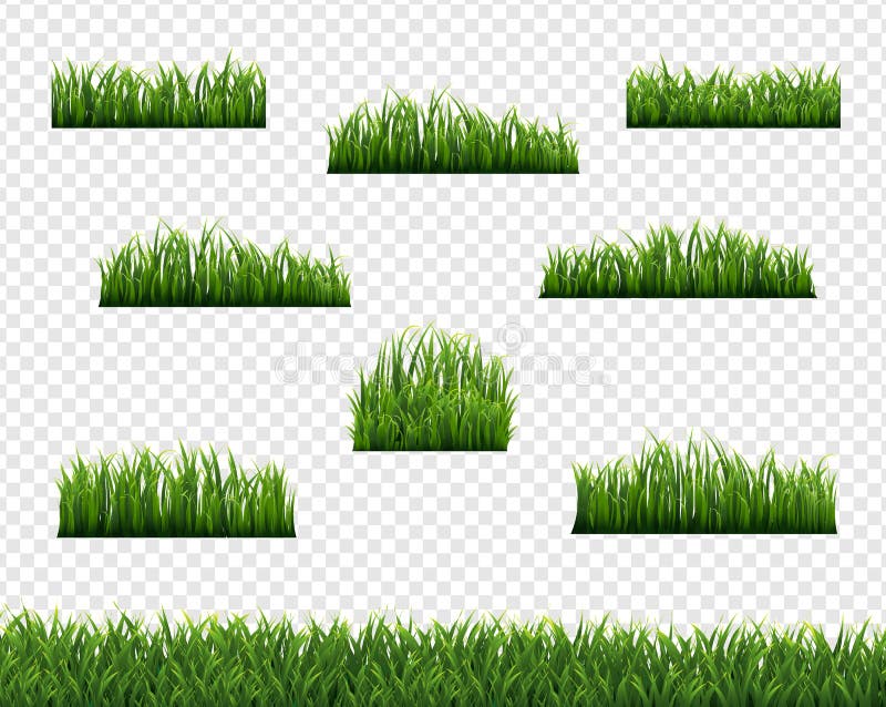 Green Grass Borders and Transparent Background Stock Vector ...
