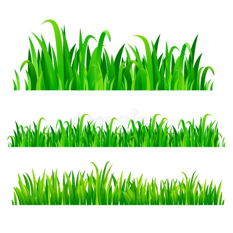 Green Grass Borders, Vector Set Stock Illustration - Illustration of ...