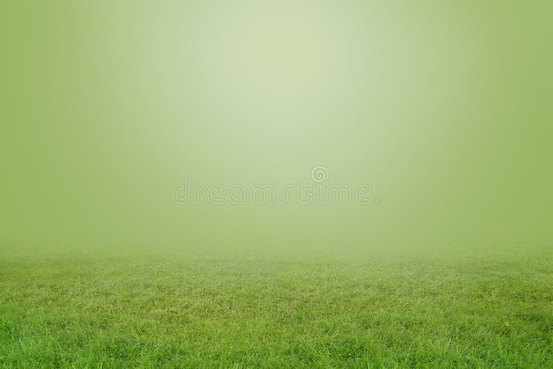 Green grass on bottom. stock image. Image of grass, background - 77735543