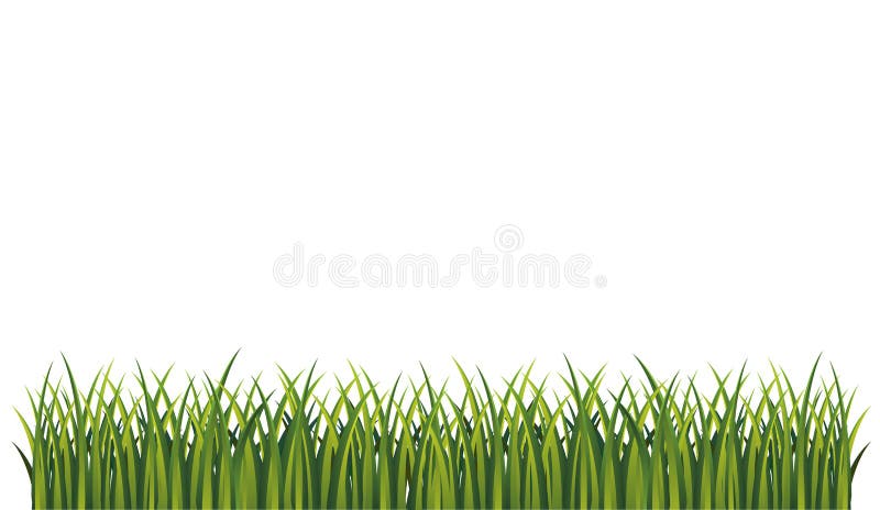 Bottom Page Wheat Field Design Element. Vector. Isolated Illustration ...