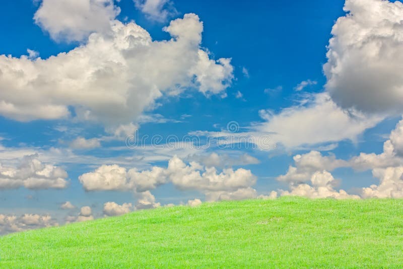 Green Grass with the Bright Sky. Stock Photo - Image of scenery, nature ...