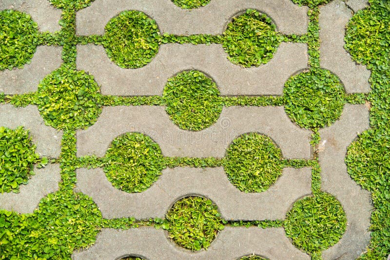 Green Grass between Cement Brick Background Stock Photo - Image of ...