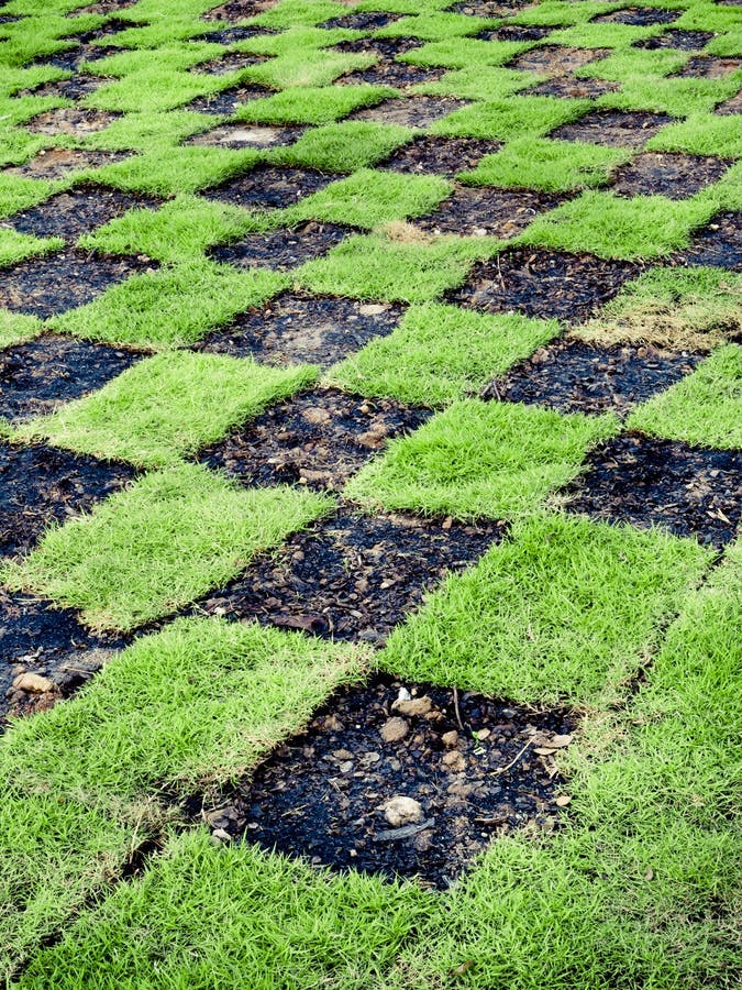 Checkerboard Lawn Pattern