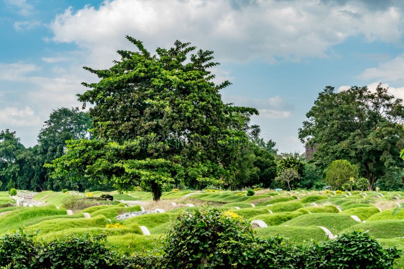 Chinese cemetery stock image. Image of asia, grave, dead - 109365601