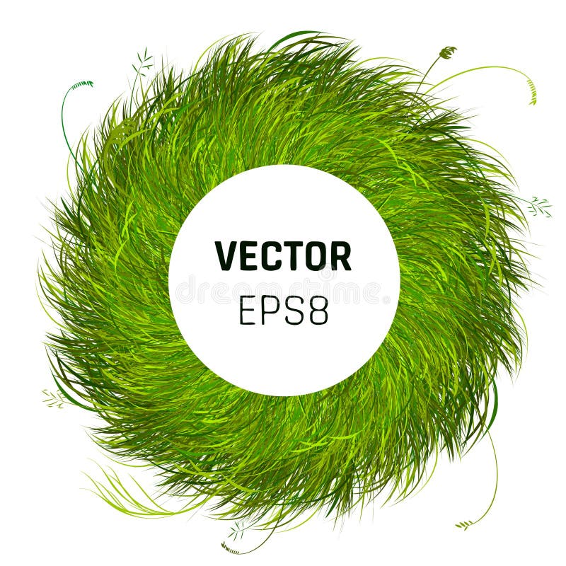 Green Grass Circle Background Stock Vector - Illustration of growth ...