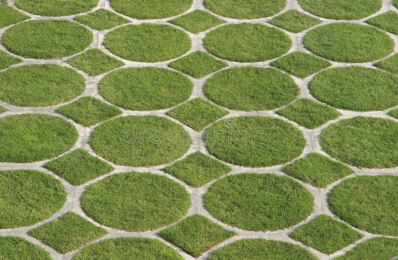 Beautiful Grass Decorated Path in a Garden Stock Photo - Image of ...