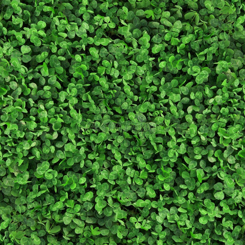 170+ Clover texture Free Stock Photos - StockFreeImages