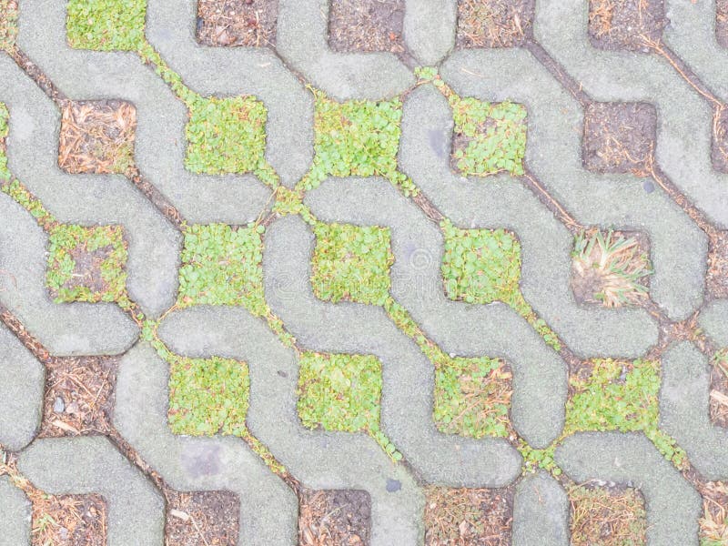 Green Grass in Concrete Block Footpath Stock Image - Image of ground ...