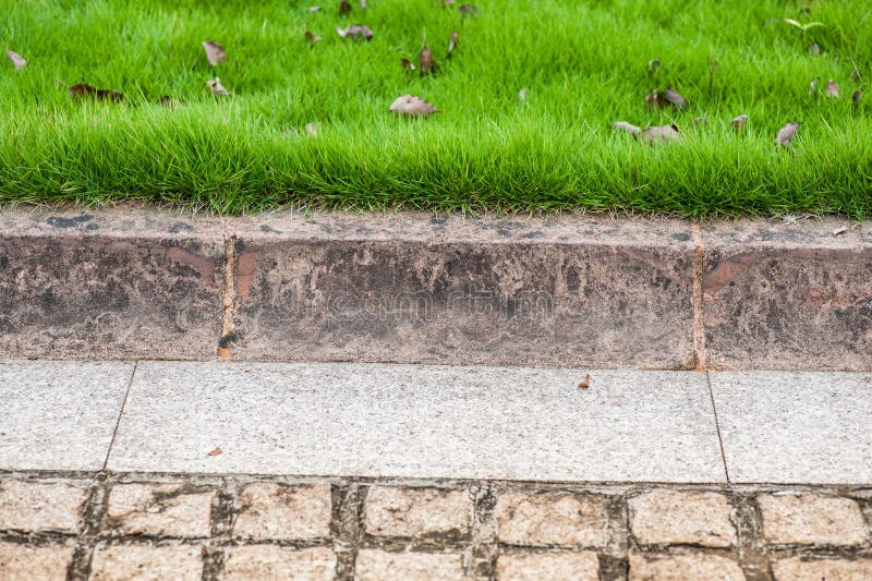 Green Grass and Concrete Tiles Stock Photo - Image of field, plant ...