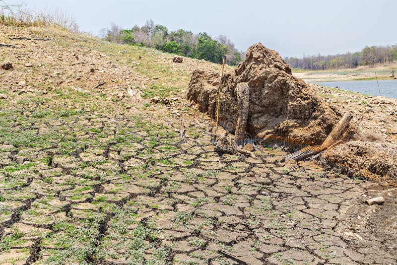 Green Grass on Cracked Mud in Drought Stock Image - Image of arid ...