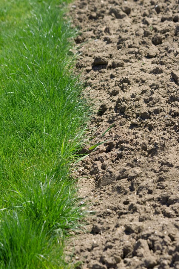 Green grass and earth stock image. Image of grass, side - 15074077