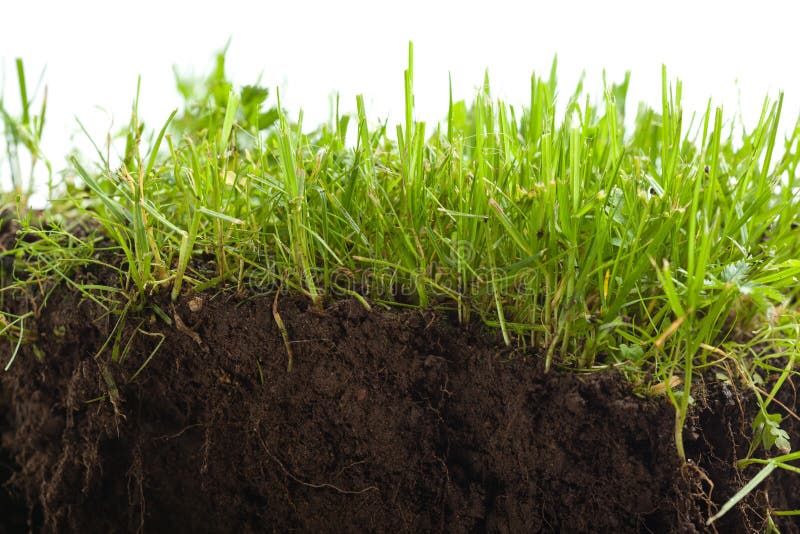 Grass and soil stock image. Image of dirt, background - 47973931