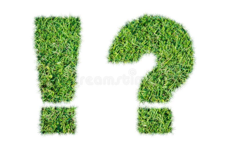 Green Grass Ecological Question Exclamation Mark Icon Stock ...
