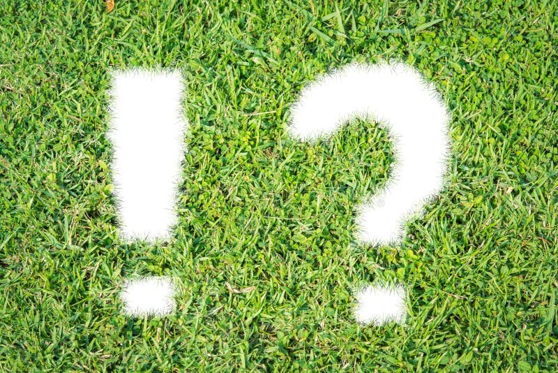 Green Grass Ecological Question Exclamation Mark Icon Stock Photos ...