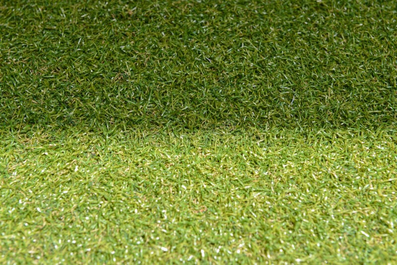 Green Grass with Empty Area for Text Background. Nature Background ...