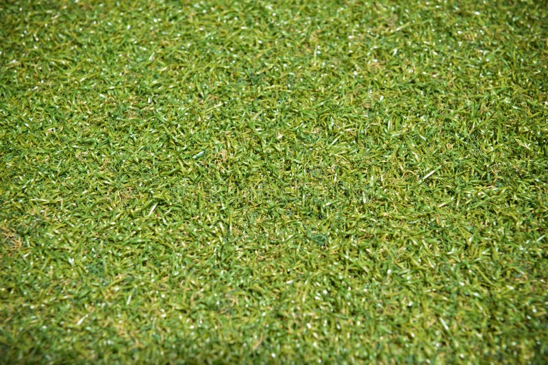 Green Grass with Empty Area for Text Background. Nature Background ...