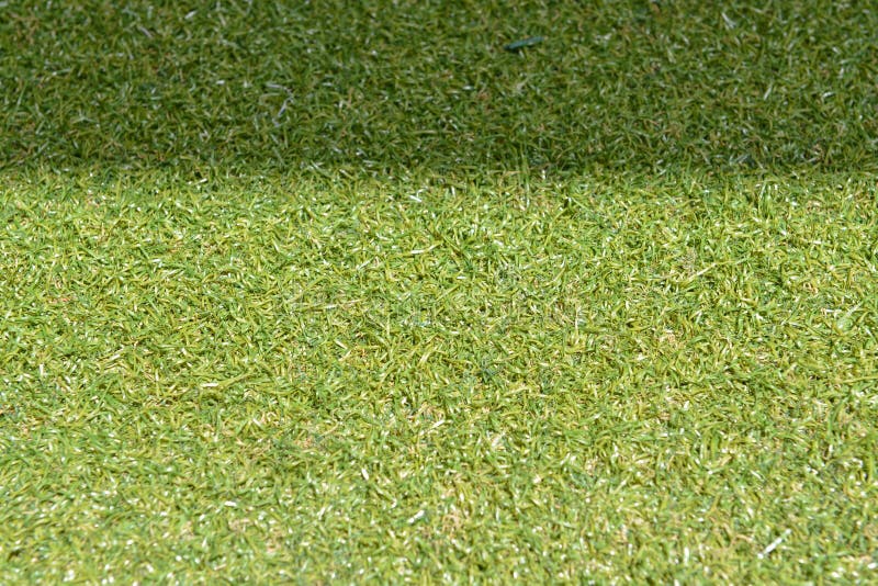 Green Grass with Empty Area for Text Background. Nature Background ...