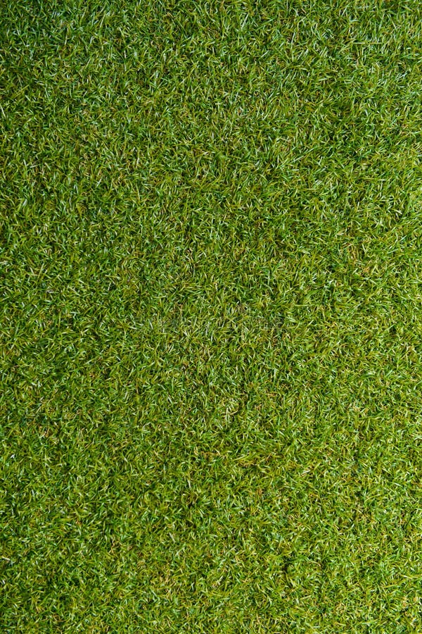 Green Grass with Empty Area for Text Background. Nature Background ...