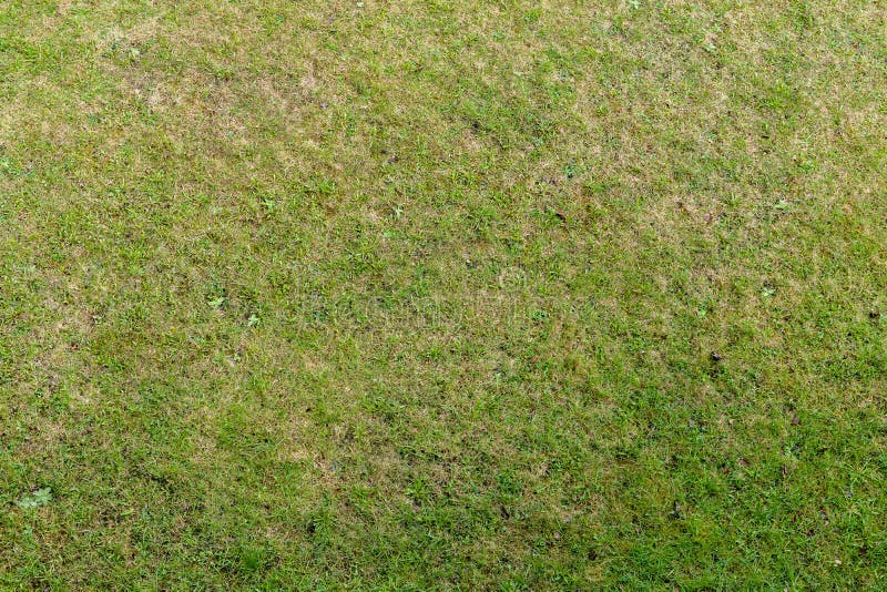 Empty Meadow stock image. Image of meadow, field, color - 34235669