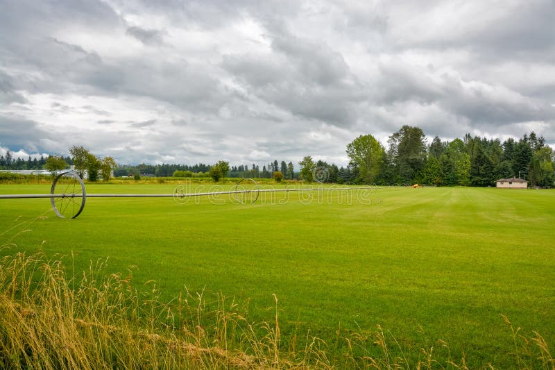 Green Grass Farm Field with Irrigation System on Wheels Stock Image ...