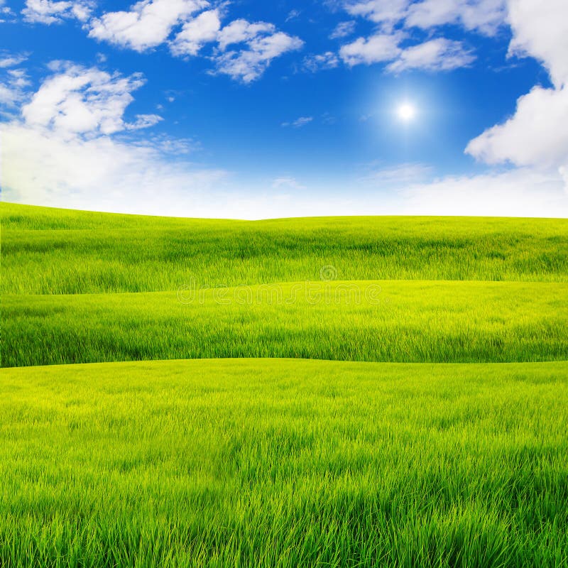 Green grass field stock photo. Image of environment, countryside - 19045212