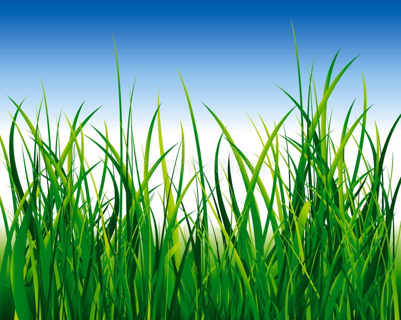 Green grass field stock illustration. Illustration of field - 8139170