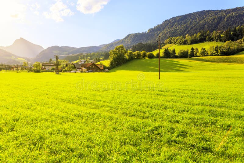 Green Grass Field in Austrian Alps Stock Image - Image of green ...