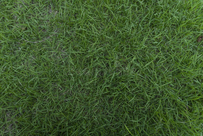 Green Grass Field Background. Football Turf Stock Image - Image of lawn ...