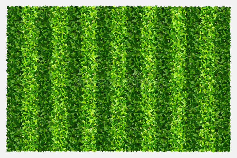 Realistic Textured Turf Field Background Stock Illustrations – 591 ...