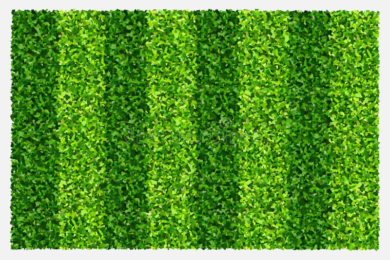 Green Grass Field Background for Sports and Recreation. Realistic Green ...