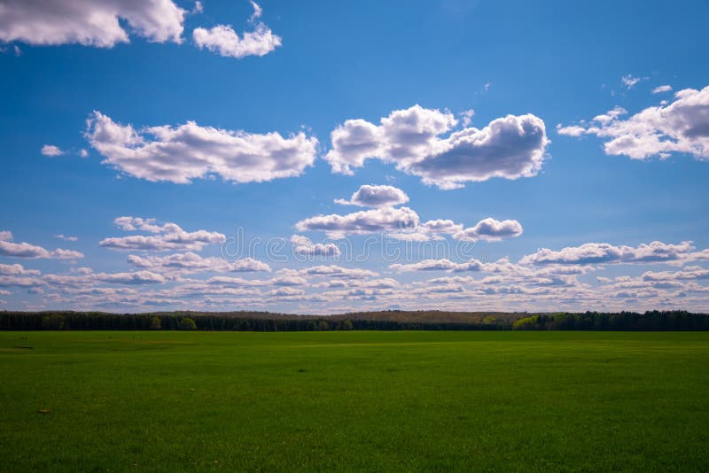 Green Grass Field Below Blue Sky In Wisconsin Stock Image Image Of