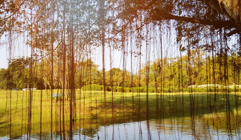 Green Grass Field in Big City Park Stock Image - Image of skyline, lawn ...