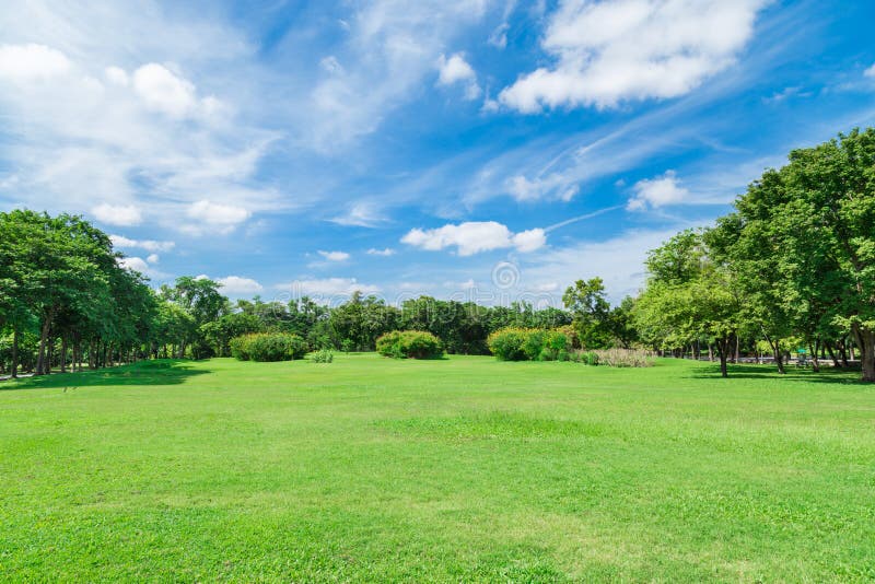 Green Grass Field in Big City Park Stock Photo - Image of park, city ...