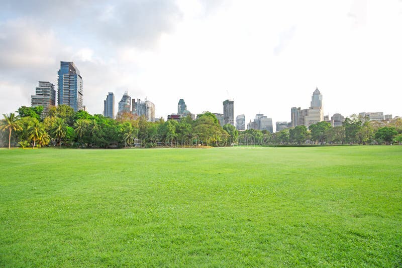 Green Grass Field in Big City Park Stock Photo - Image of park, city ...