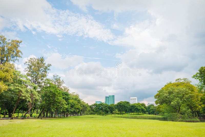 Green Grass Field in Big City Park Stock Photo - Image of green, grass ...