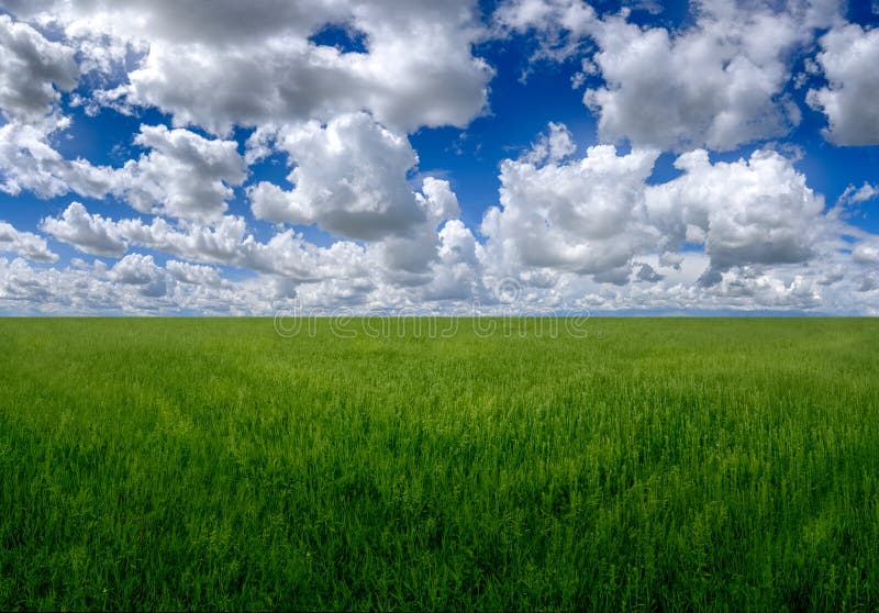 Green Grass Field on Big Hills and Blue Sky with Clouds Stock Image ...
