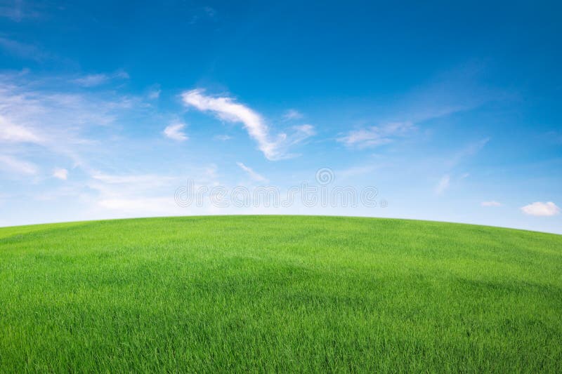 Green Grass Field with Blue Sky Ad White Cloud. Nature Landscape ...
