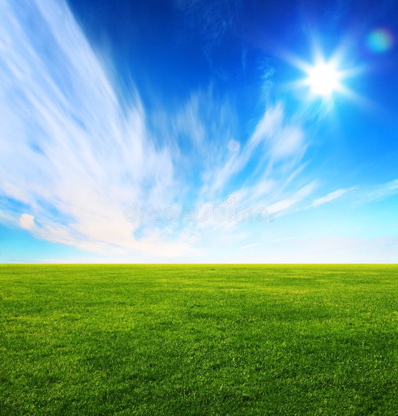 Green Grass Field and Bright Blue Sky Stock Image - Image of clear ...