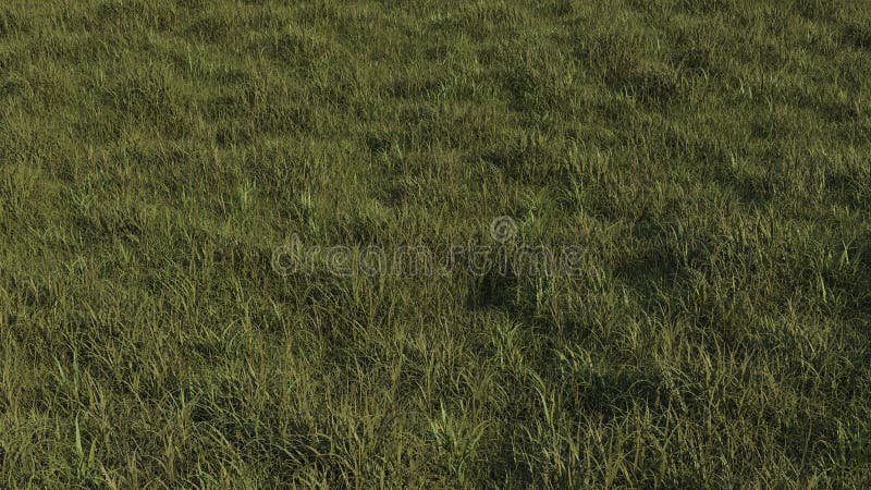 Green Grass Field. 3D Illustration. Stock Illustration - Illustration ...