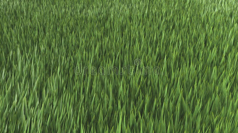 Green Grass Field. 3D Illustration Stock Illustration - Illustration of ...