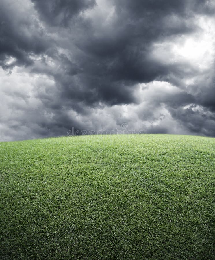 Green Grass Field With Dark Sky Picture. Image: 118290544