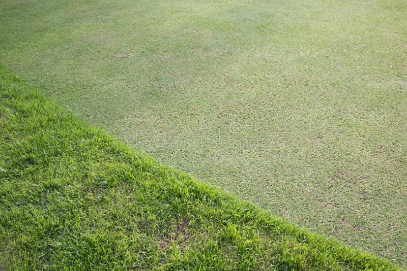Grass on Putting Green Golf Course Stock Photo - Image of field ...