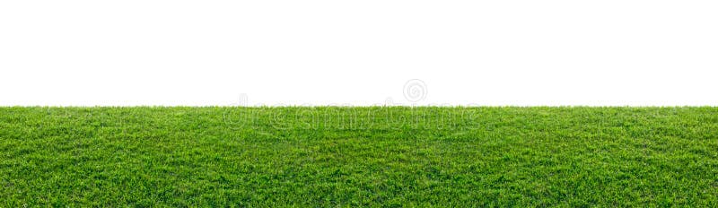Green Grass Field Isolated on White Background. Stock Photo - Image of ...