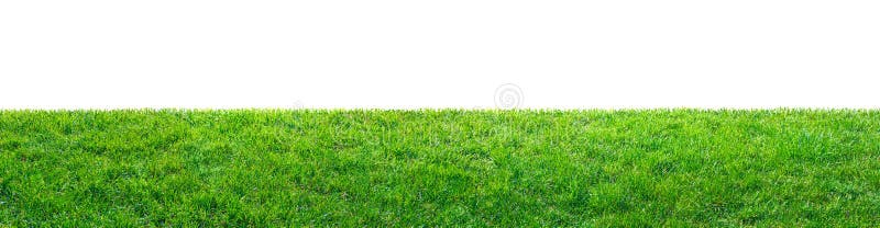 Green Grass Field Isolated on White Background. Stock Photo - Image of ...