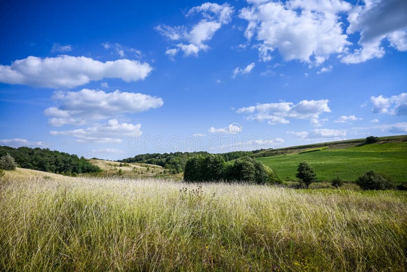 Green Grass Field Landscape with Fantastic Clouds in the Backgro Stock ...