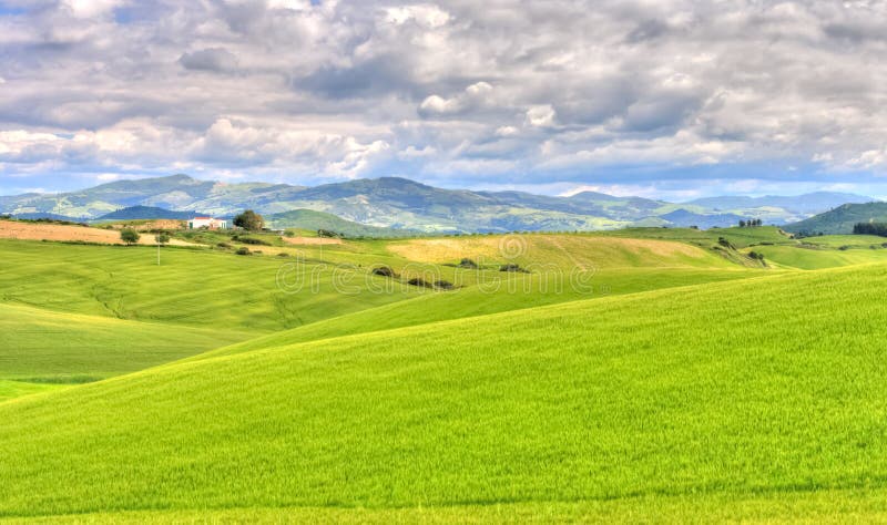 Green Grass Field Landscape Stock Photo - Image of mountains, beauty ...