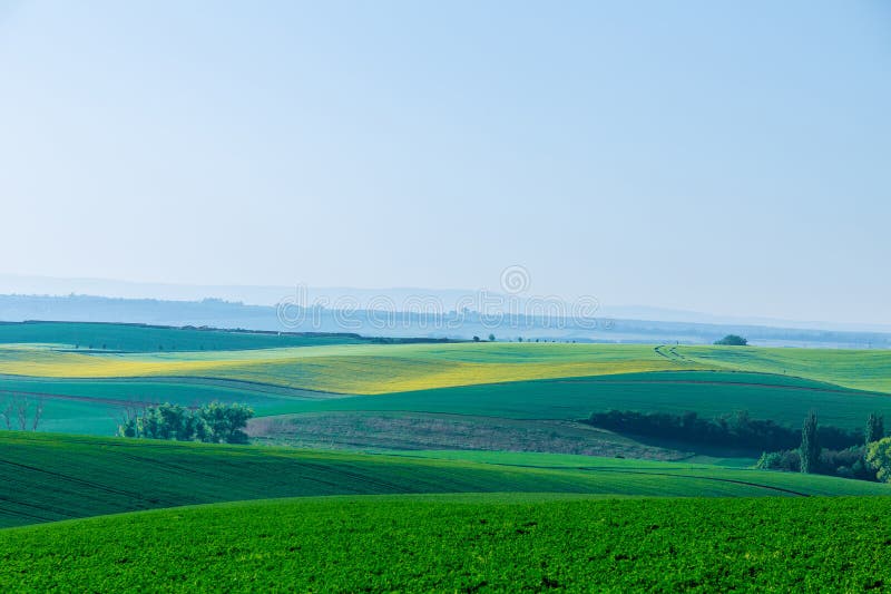 Green Grass Field Landscape. Perfect Natural Landscape Stock Image ...