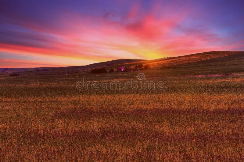 Green Grass Field Landscape Under Sun Fall Sunset Sky with Soft Clouds ...