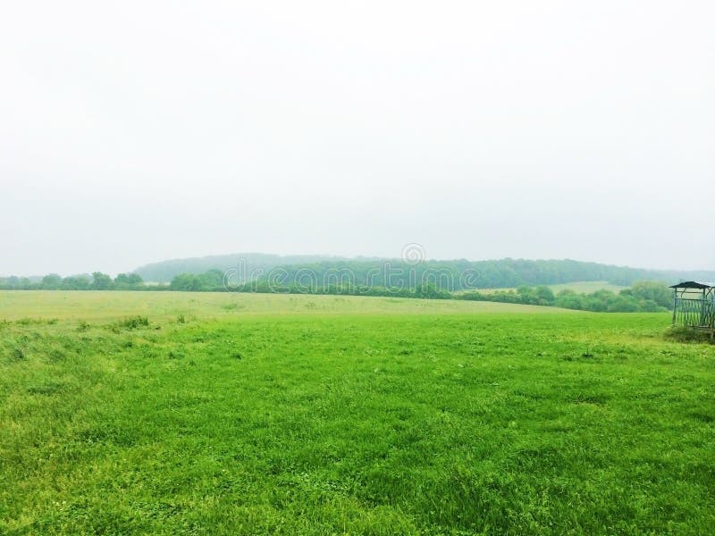 Green Grass Field in Luxembourg, Europe Stock Photo - Image of season ...